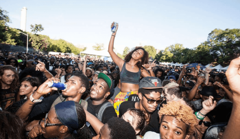 A Brief History of the Afropunk Festival