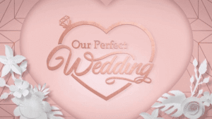 Our Perfect Wedding Mzansi on Mzansi Magic