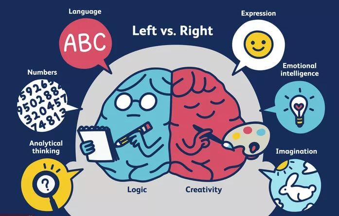 Right Brain, Left Brain Theory and Mental Health