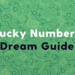 Fafi Dream Guide South Africa