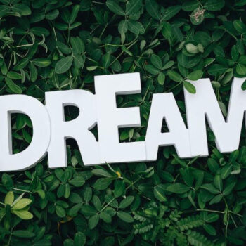 Download Dream Guide FAFI Numbers 1 to 49 In South Africa