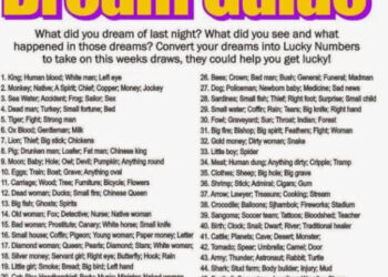 Download Dream Guide FAFI Numbers 1 to 49 In South Africa