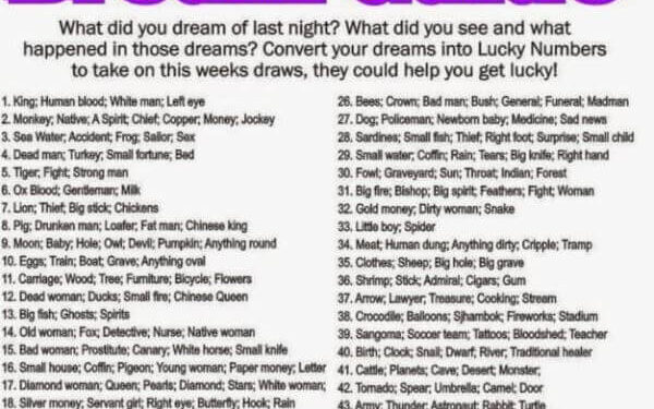 Fafi Dream Guide South Africa