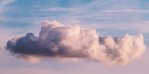 Fafi Dream Guide South Africa