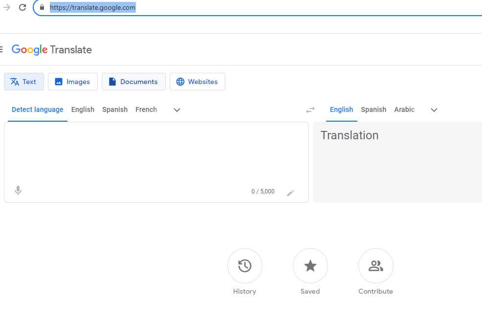 How to Use Google Translate in South Africa?