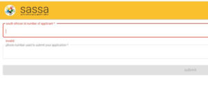 Understanding SASSA SRD Status Check