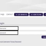 uFiling Login: How to Login to uFiling (UIF)