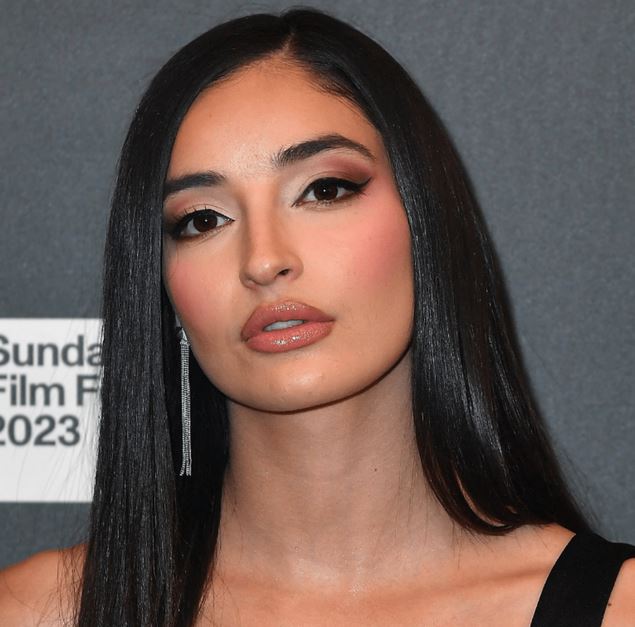 Who Is Emily Willis, and Why Is She Famous?