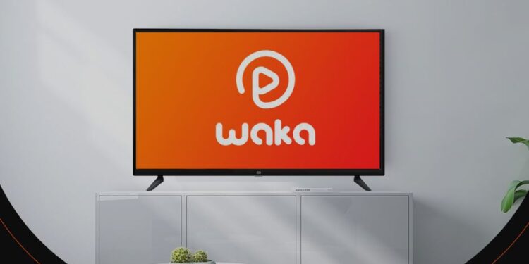 What Is Waka TV And How To Install It On A Smart TV in South Africa?