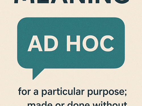 What is Ad Hoc Meaning?