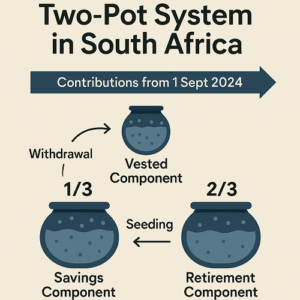 What Is the Two‑Pot System in South Africa?