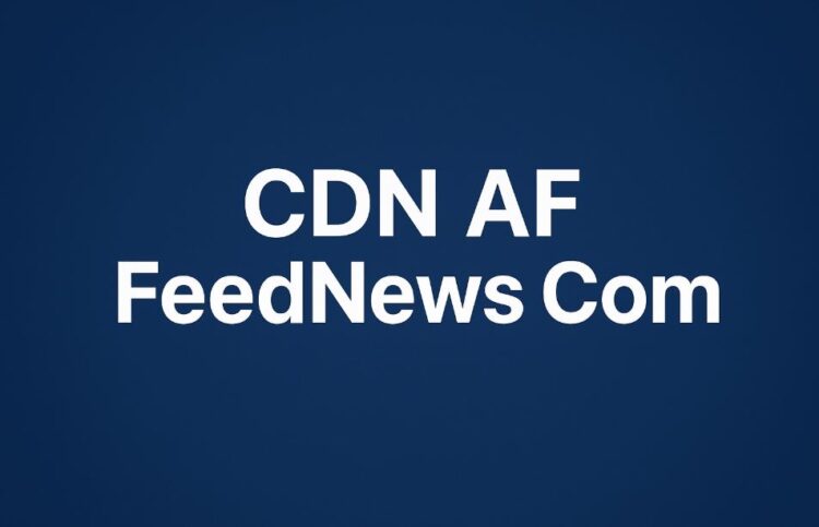 Everything You Need To Know About CDN AF FeedNews Com